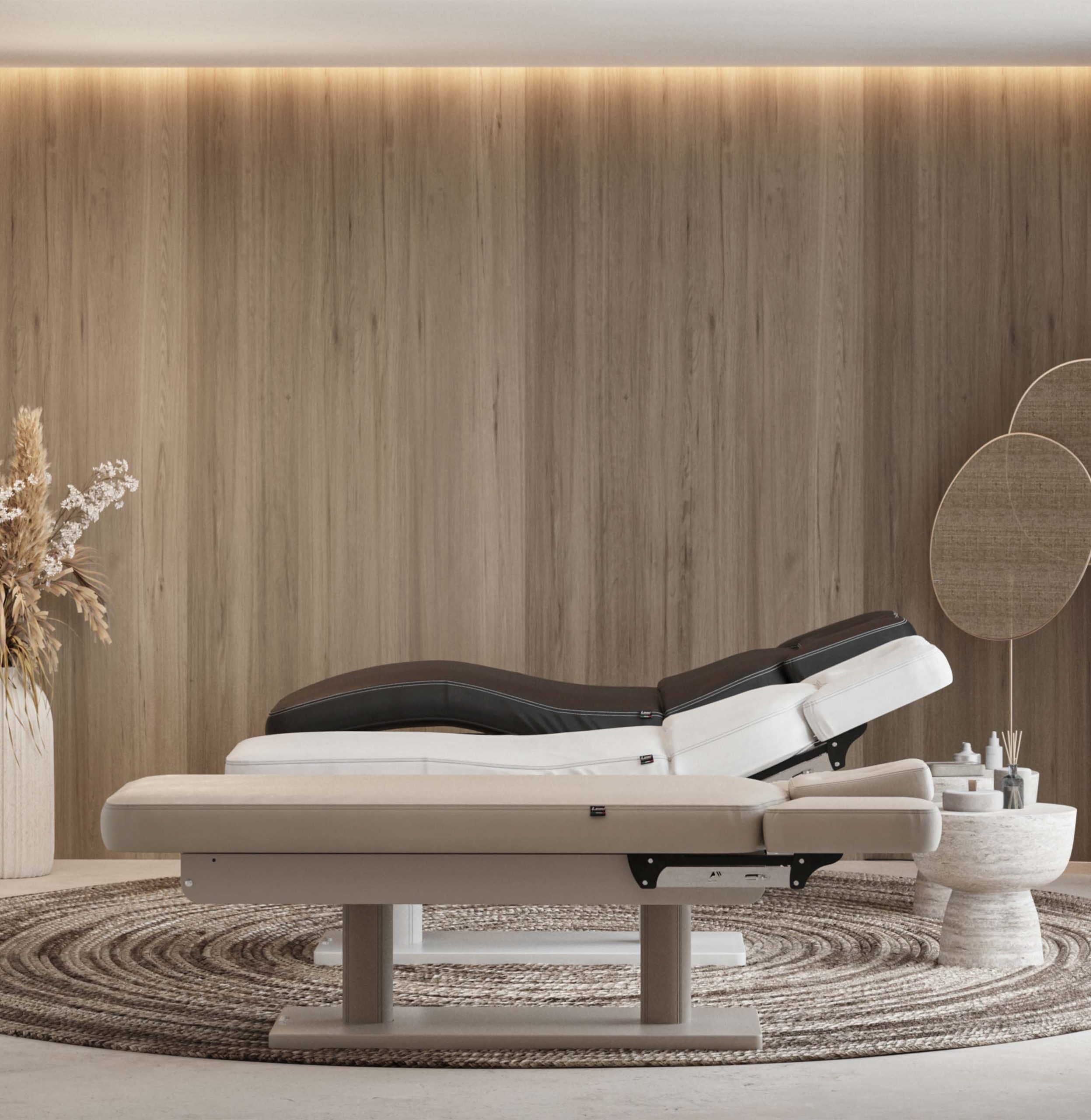 Gemini Evo | Lemispa EN