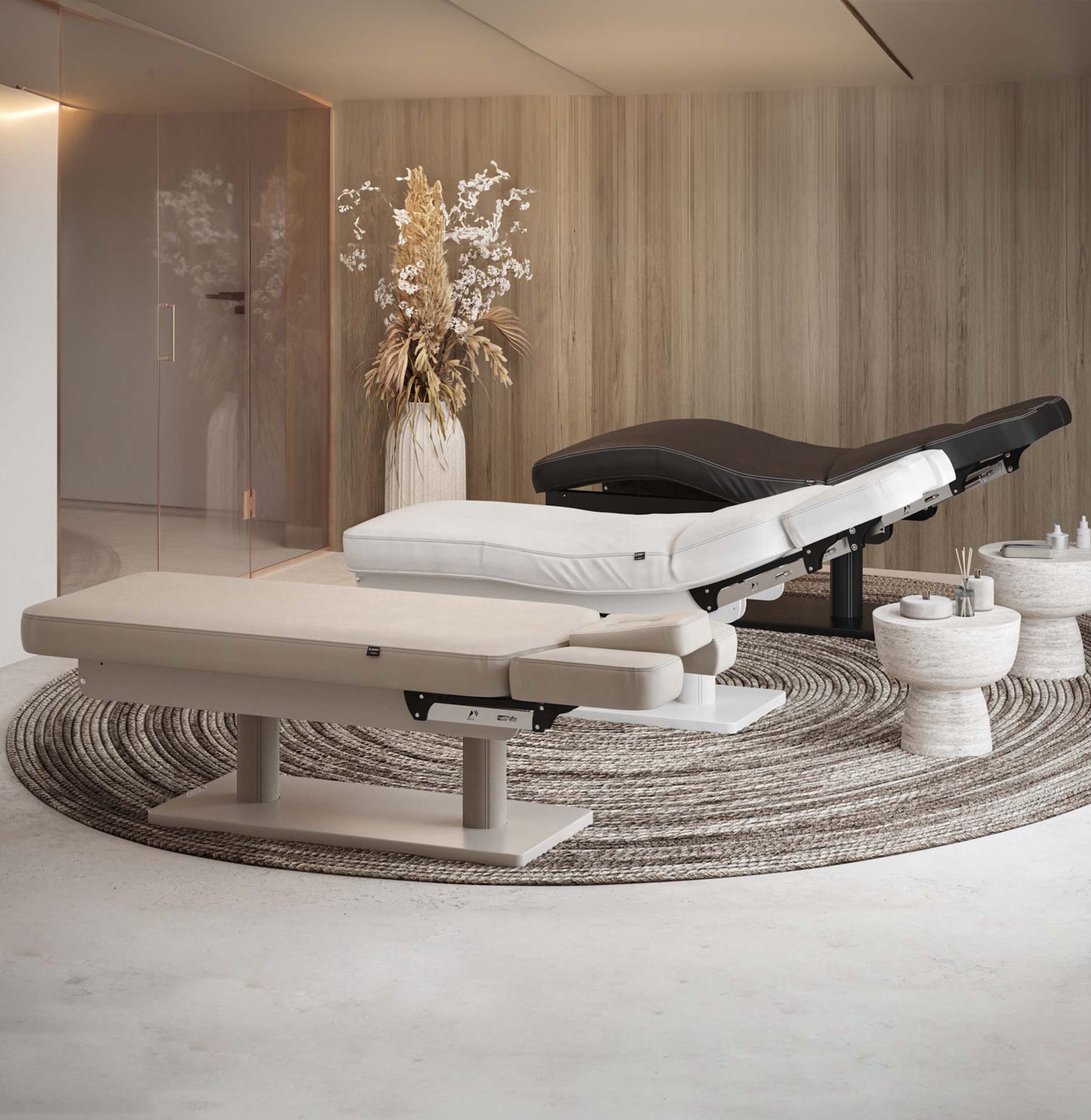 Gemini Evo | Lemispa EN