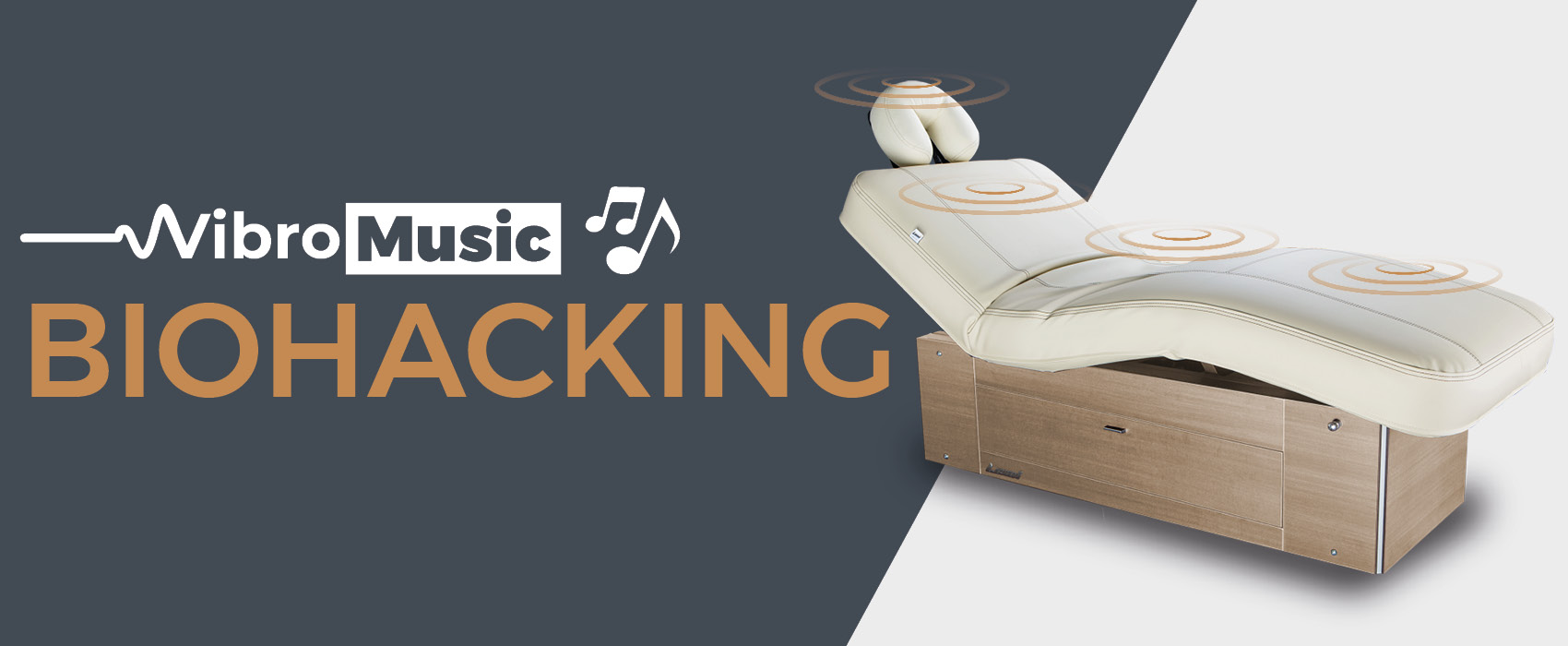 VIBRO MUSIC: The future of wellness | Lemispa EN